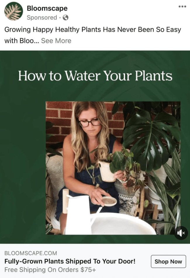 How to Make a Great Facebook Ad (With Examples)