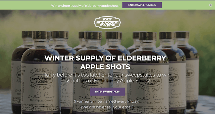 How to Build an Email List from Scratch (A Step-By-Step Guide)