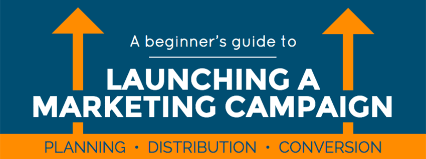 A Beginner's Guide to Launching a Successful Marketing Campaign ...